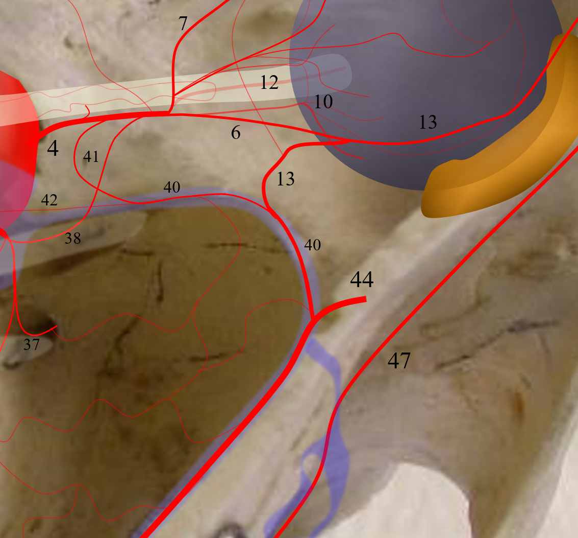 Index of /wp-content/uploads/MMA